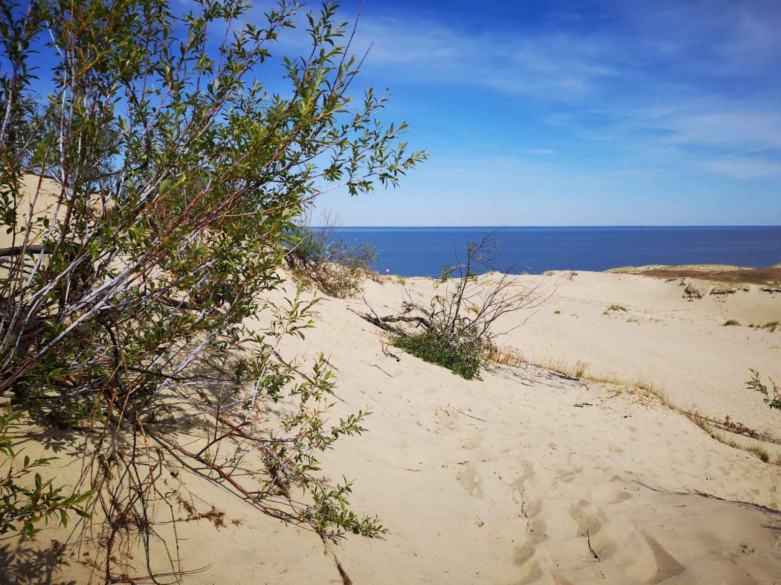Parnidis Dune in Nida, The Crown Jewel of Curonian Spit & Lithuania