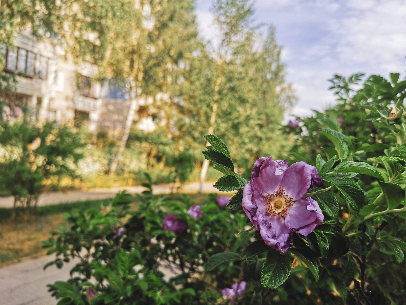 Fabijoniškės - HBO "Chernobyl" Filming Location in Vilnius, Lithuania