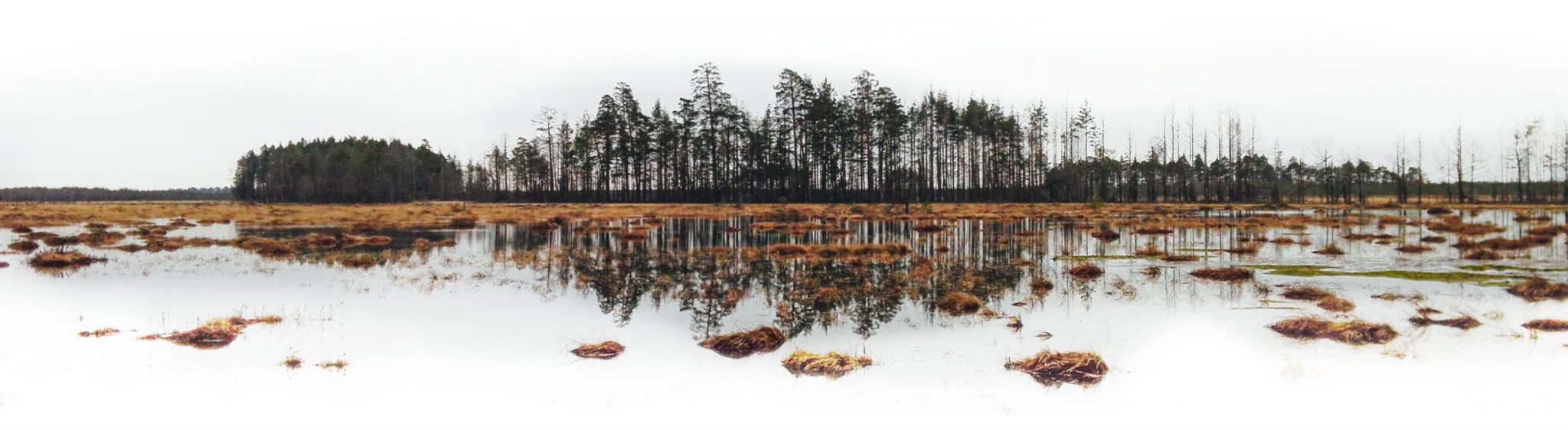 Top 6 Most Beautiful Natural Places in Lithuania - Connecting Vilnius